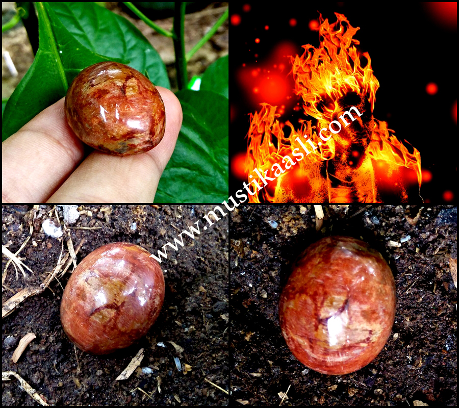 Mustika Tingkat Tinggi | Mustika Asli