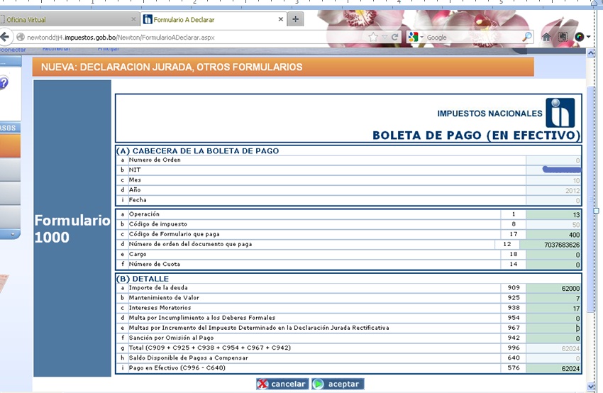 Pasos de llenado: boleta de pago 1000 desde D-CLARO Newton - Noticias ...