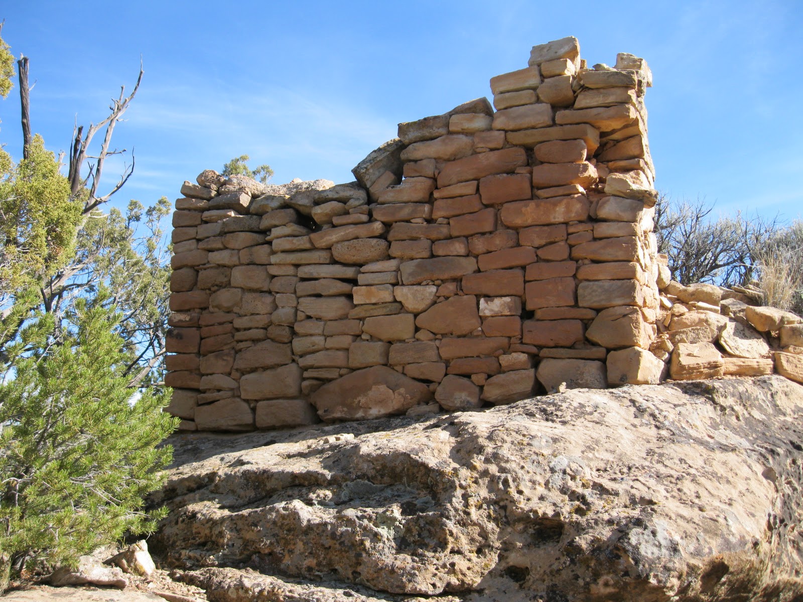 Four Corners Hikes-Canyons of the Ancients: Square Towers between Woods ...