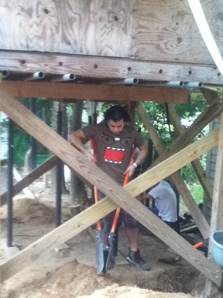 How Do You Move a Tree House? | Rajdeep Paulus