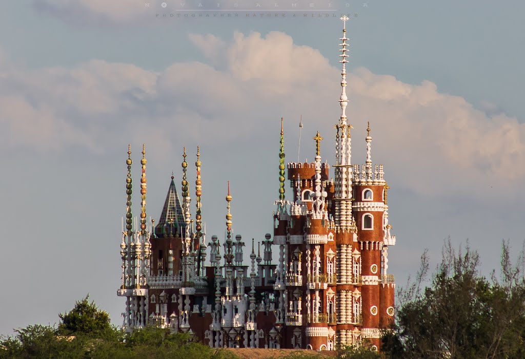 5 coisas para fazer em Pesqueira - PE