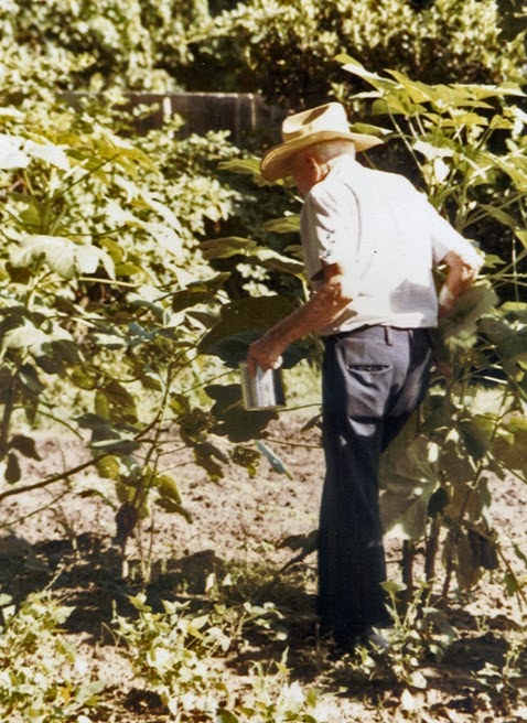 GONE TO TEXAS: SPRAGGINS