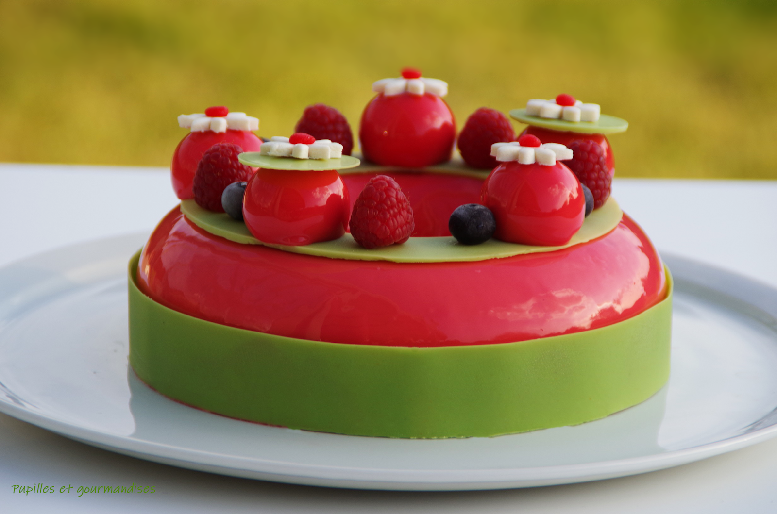 Entremets fruits rouges pistache