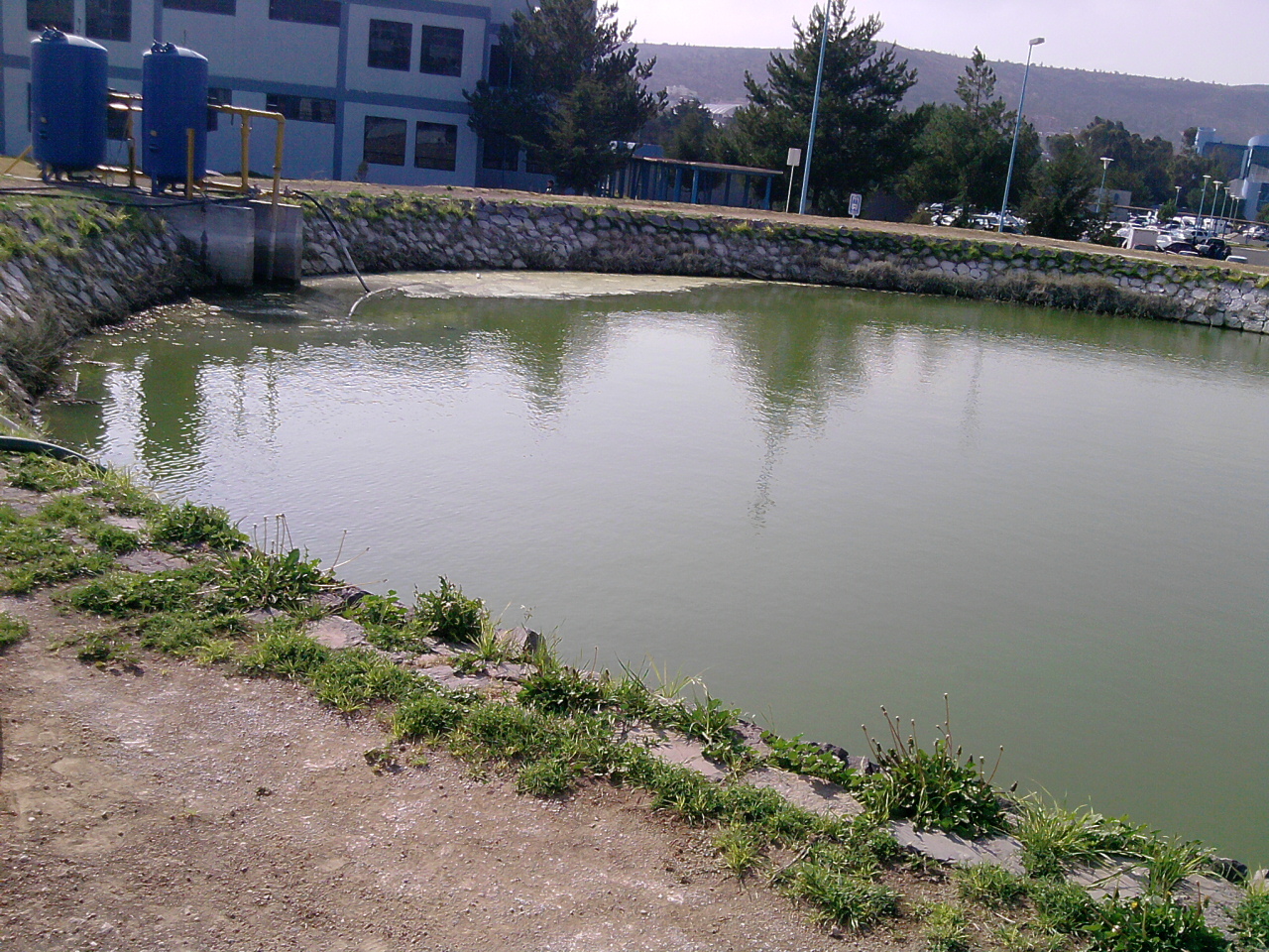 akinovillamilteoriadeldiseno: ELEMENTOS FUNDAMENTALES DE LA ARQUITECTURA