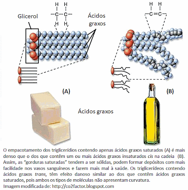 Resumos de Biologia: OS LIPÍDIOS