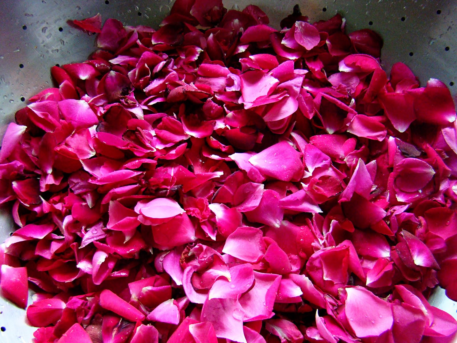 Rurification Robin Edmundson Rose Petal Jam Rurification Robin Edmundson Rose Petal Jam