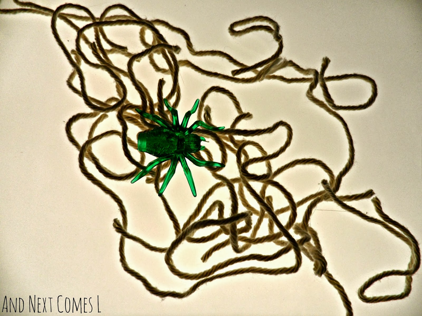 Building Spiderwebs on the Light Table | And Next Comes L - Hyperlexia ...