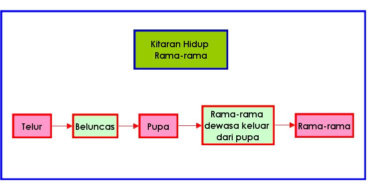 BICARA KAMI BERSAMA: THINKING MAPS