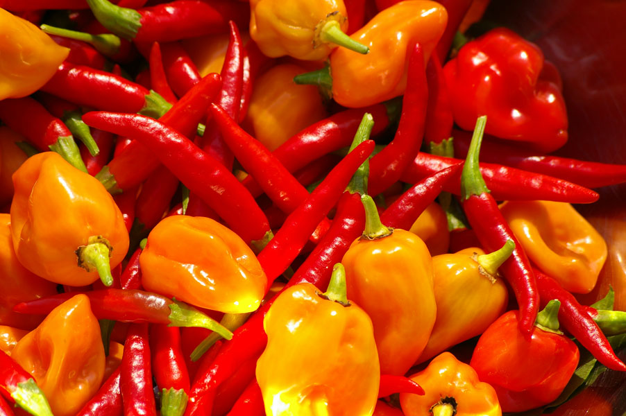 The Culture: Zao shang hao Zhong Guo...