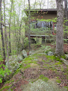 Expeditions by Tricia: LONGBOW RESORT EXPEDITION!