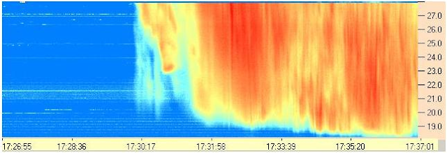 Amateur Radio Astronomy: How to Talk to Radio-Sky Spectrograph