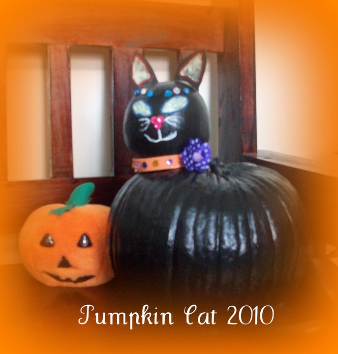 Pumpkin Cat Pumpkin Cat