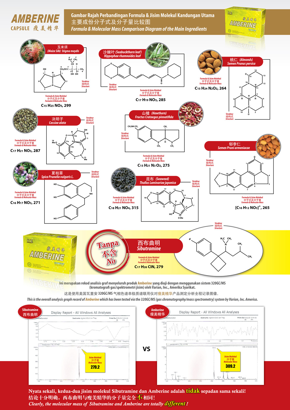SNE beutskin essence: AMBERINE