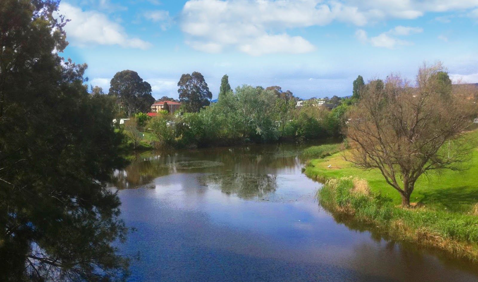 NixPages: QUEANBEYAN, NEW SOUTH WALES