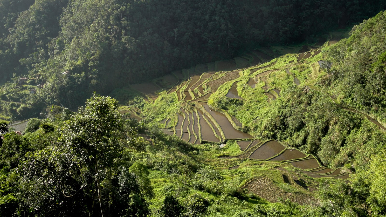 Philippines - How to build rice terraces - Sven's Travel Venues