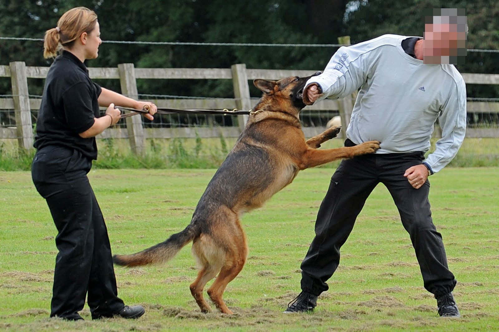 PSICOLMASCOT: 18 diciembre 2011