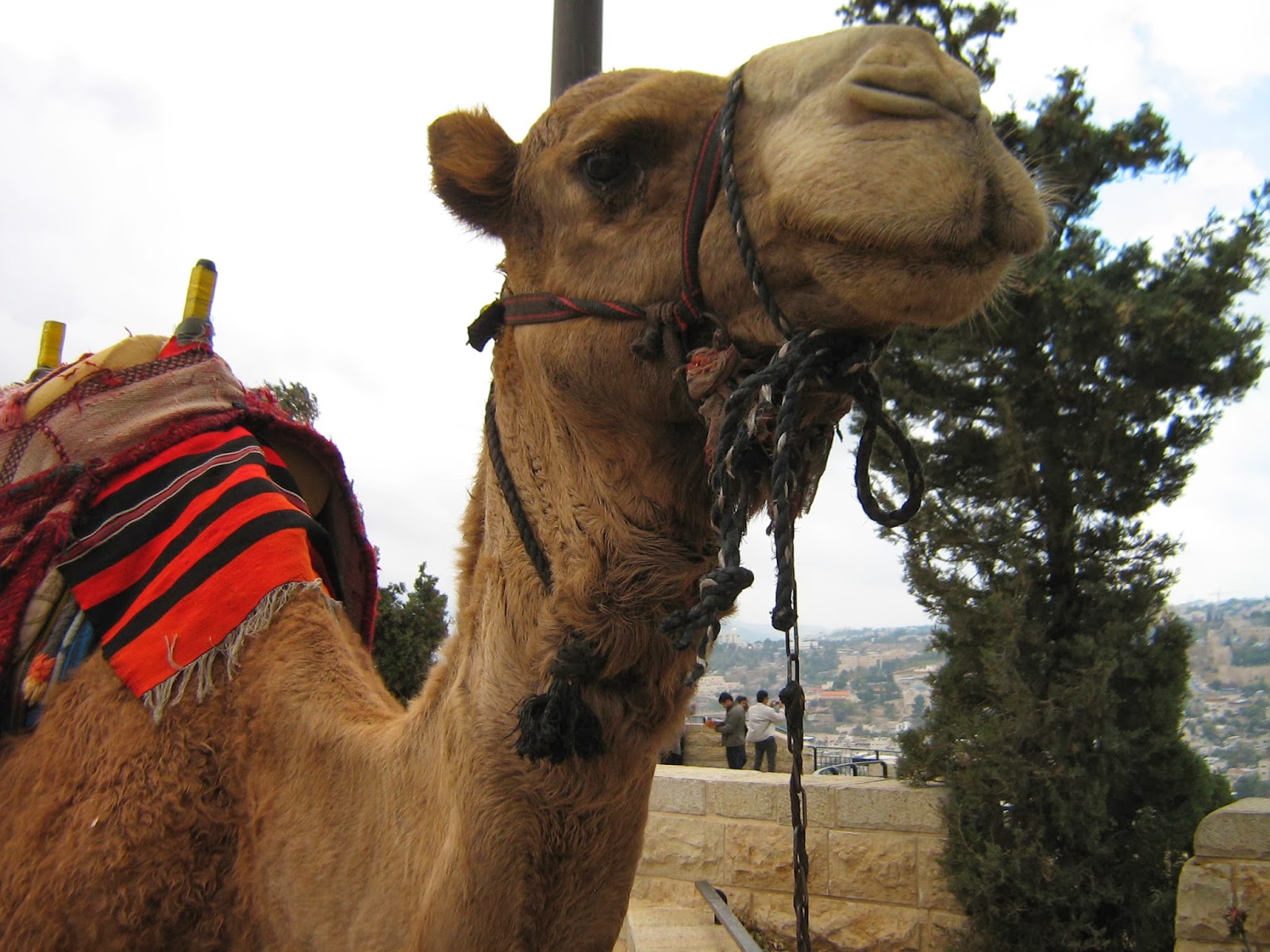 Brenda Dougall Merriman: Wordless Wednesday (Cemeteries)