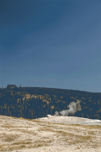 Clancy Tucker's Blog: 2 February 2018 - MOVING PICTURES