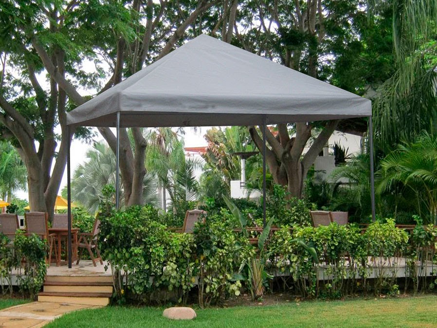 CARPAMEX........................54299455: CARPAS