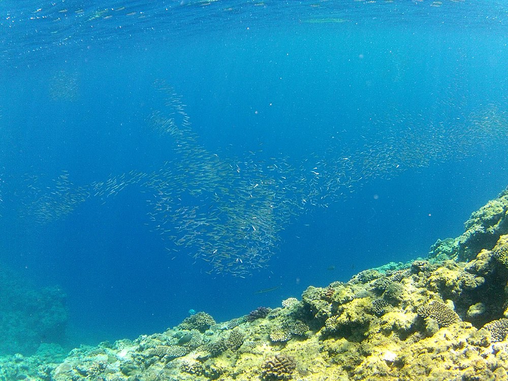 Visiter Okinawa Japon : Cape Maeda Point Okinawa