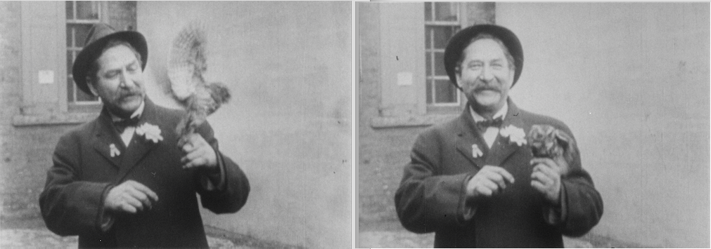 the Orphan Film Symposium: Orphans at MoMA: bonus film -- "Fred Ott ...