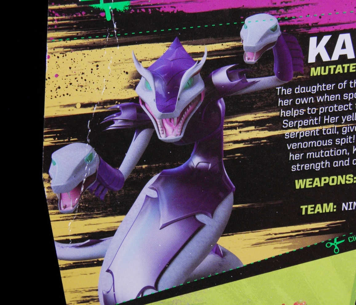 She's Fantastic: Teenage Mutant Ninja Turtles - KARAI SERPENT!