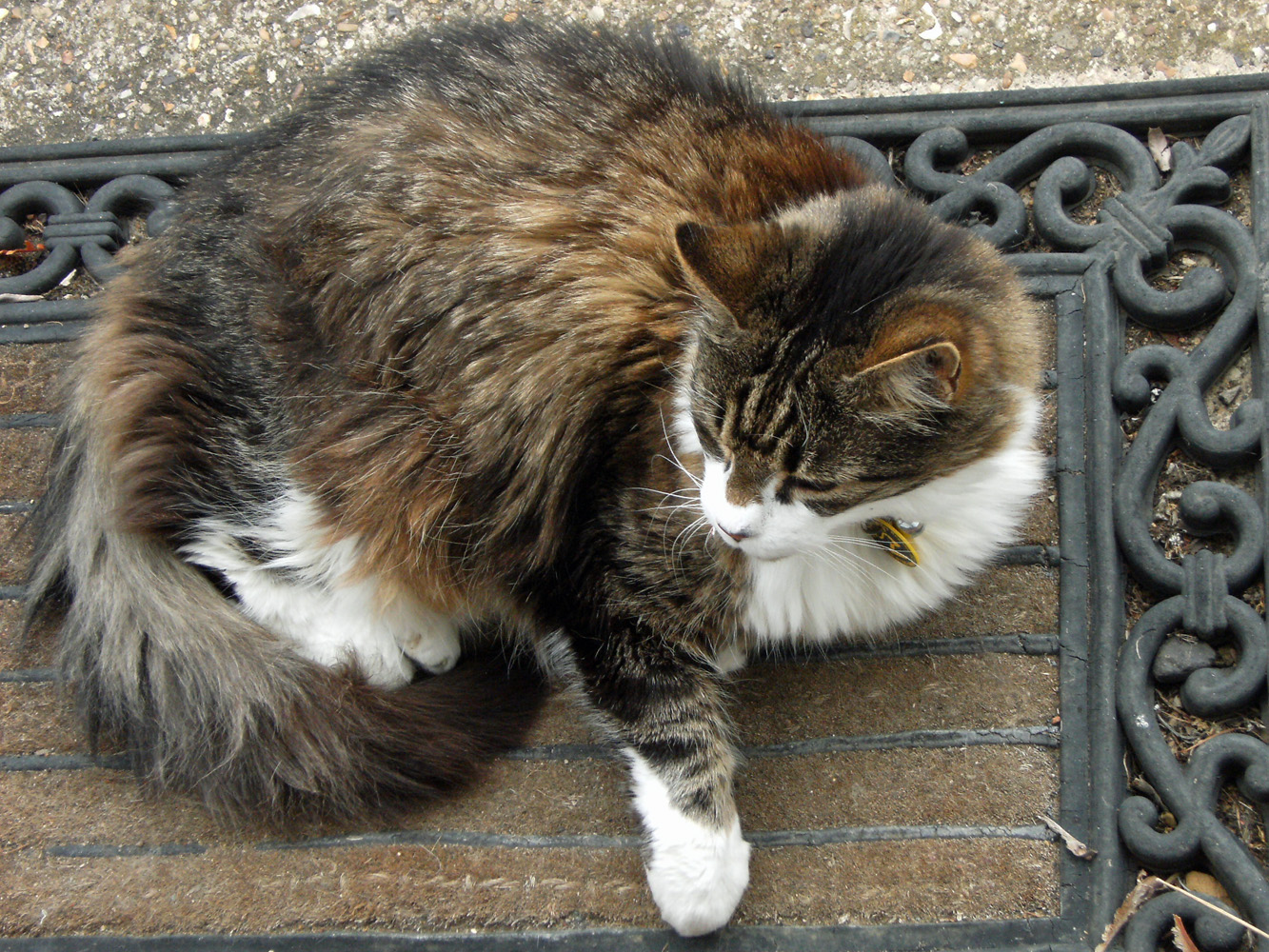 Lizzie Made: Bloggers' Block and a Photo Gallery