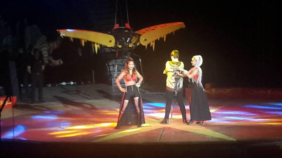 5 reasons to visit the circus.