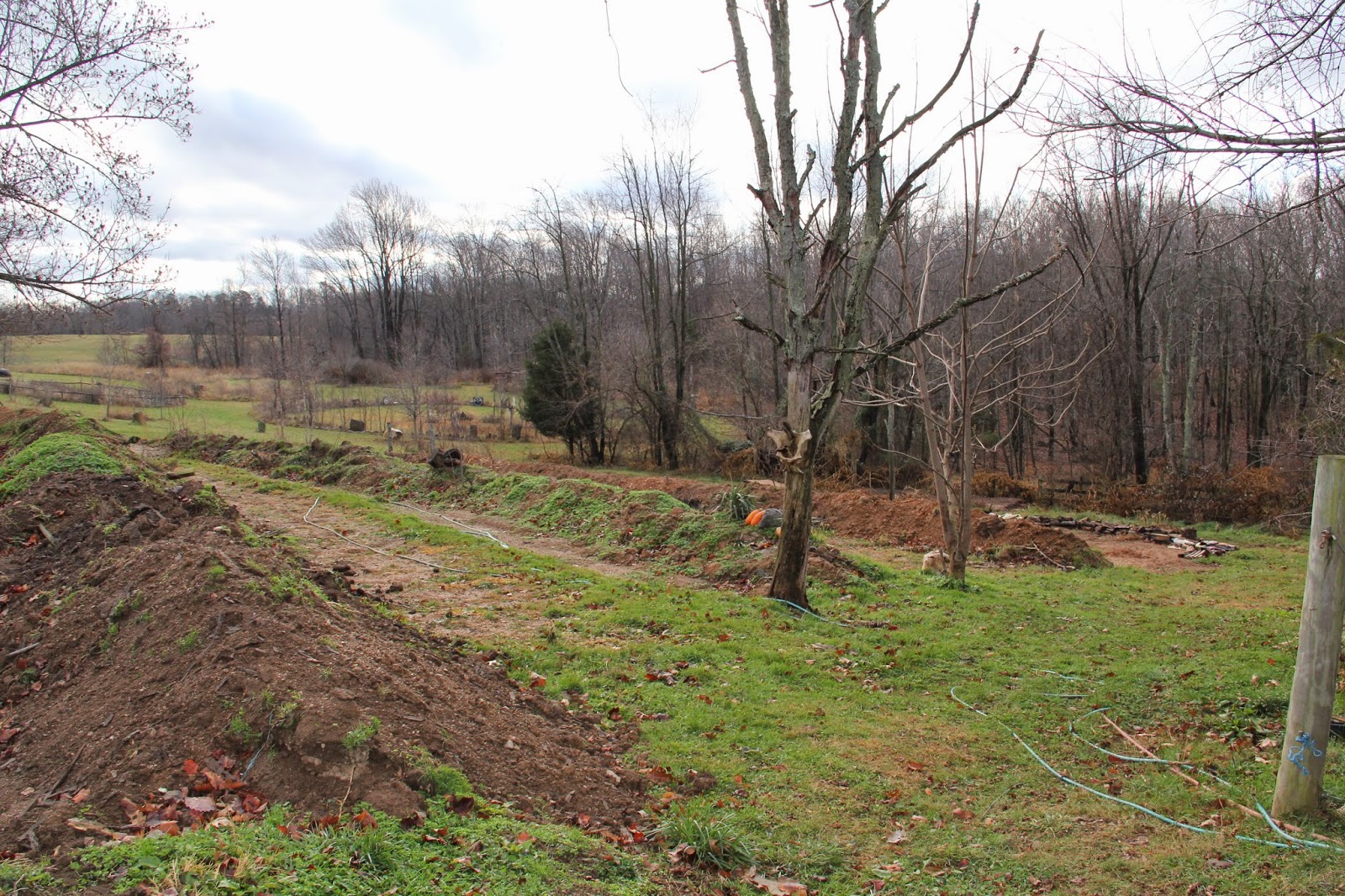 Caribbean Spirituality and Understanding in the Diaspora: Conucos ...