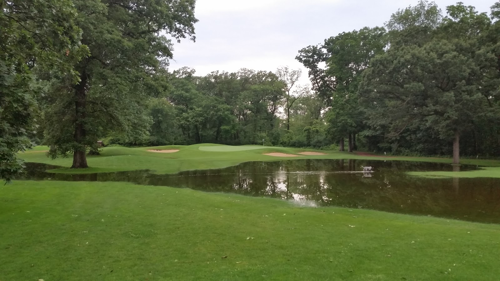 Wilmette Golf Club Grounds and Greens : July 2017