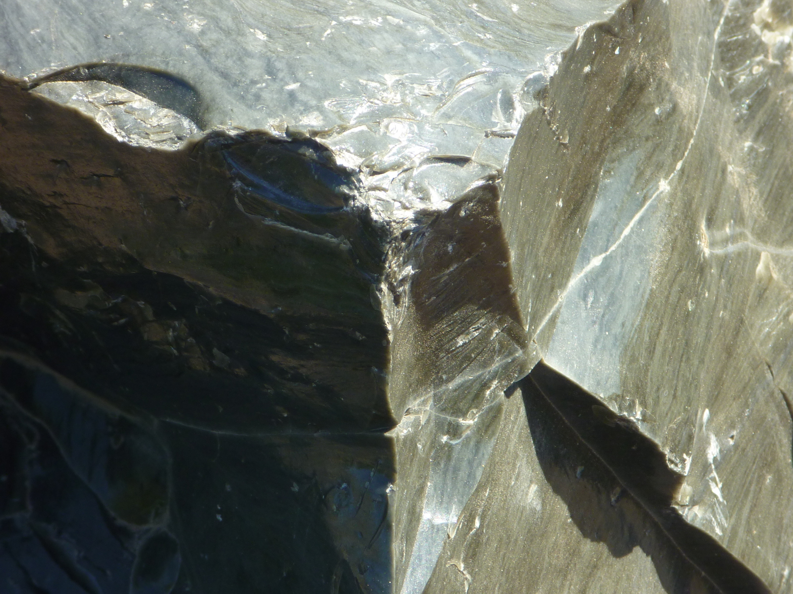 Trailing Ahead: The land of burnt-out fires