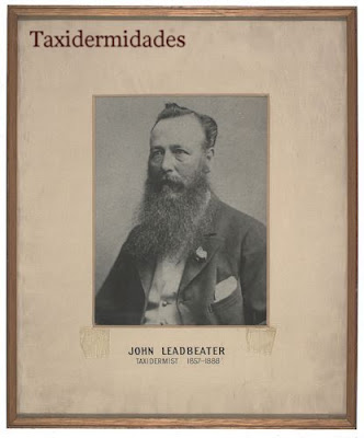 La saga de los Leadbeater. | Taxidermidades