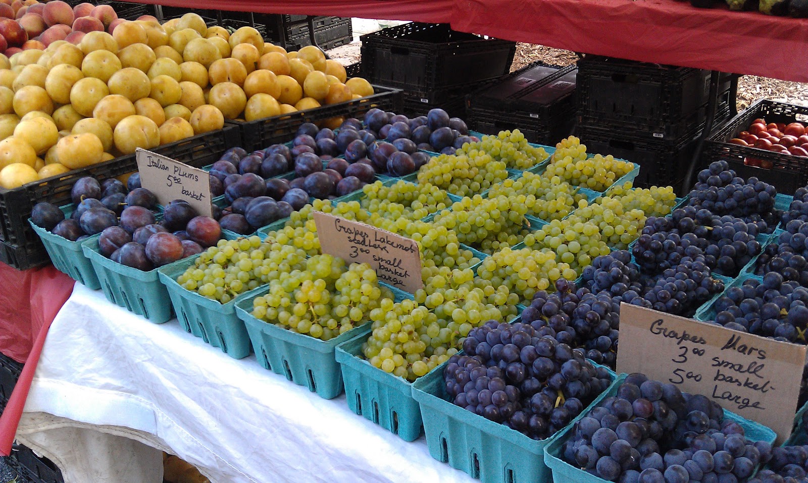 A Bit of Brooklyn: Grapes for Autumn + Falling for Hugs