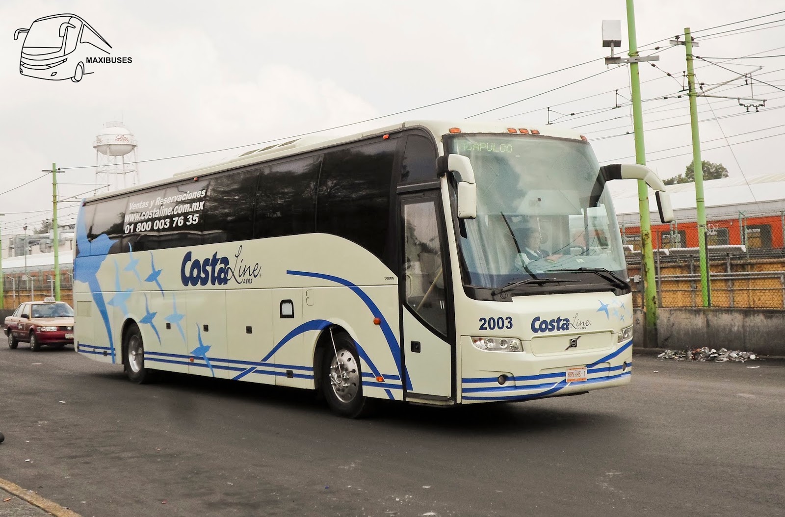 MAXIBUSES: COSTA LINE