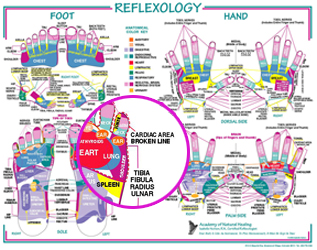 Reflexology Massage Chart: Reflexology’s efficiency
