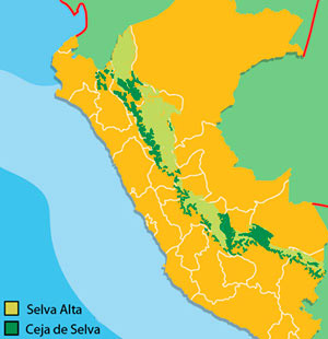 LA TIERRA Y EL UNIVERSO: GEOMORFOLOGÍA AMAZÓNICA