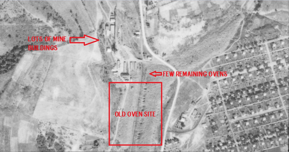 Old Industry of Southwestern Pennsylvania : Three Mon Valley Coke Works