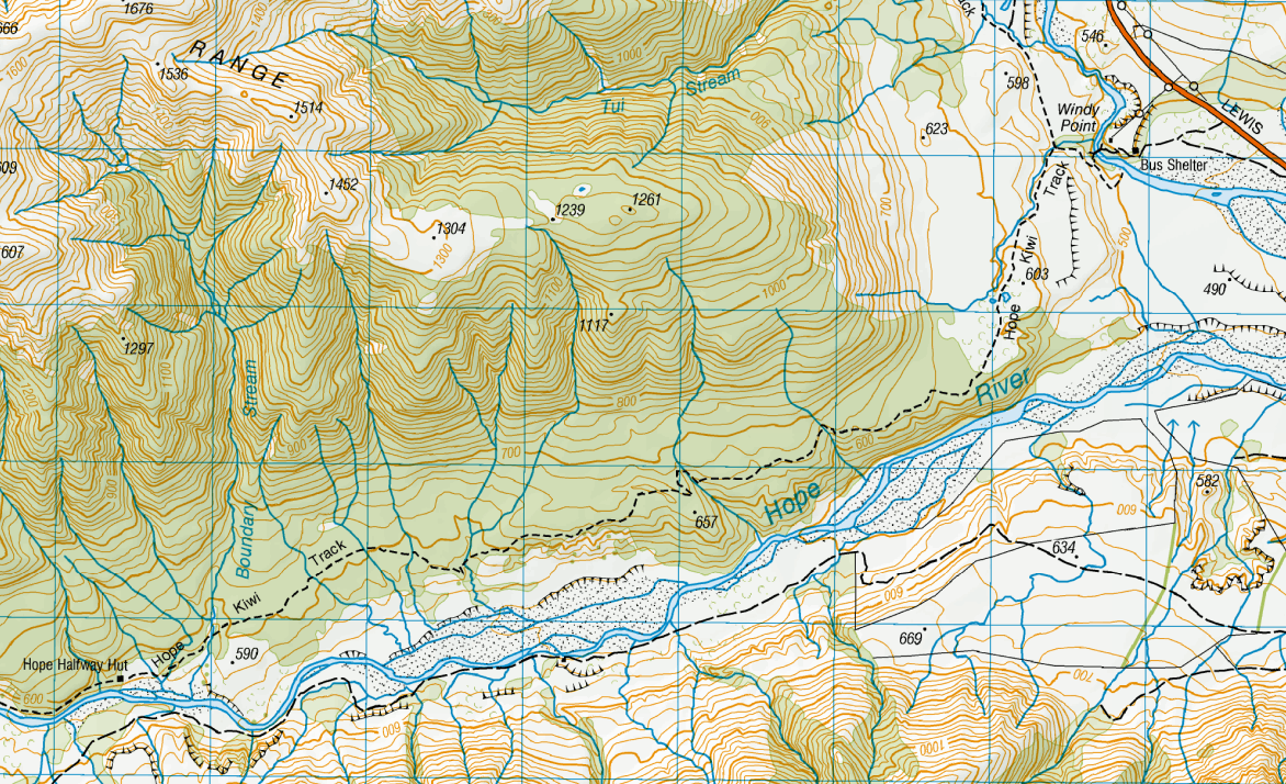 Tramping in the New Zealand backcountry: NZ Bush Adventures: Hope ...