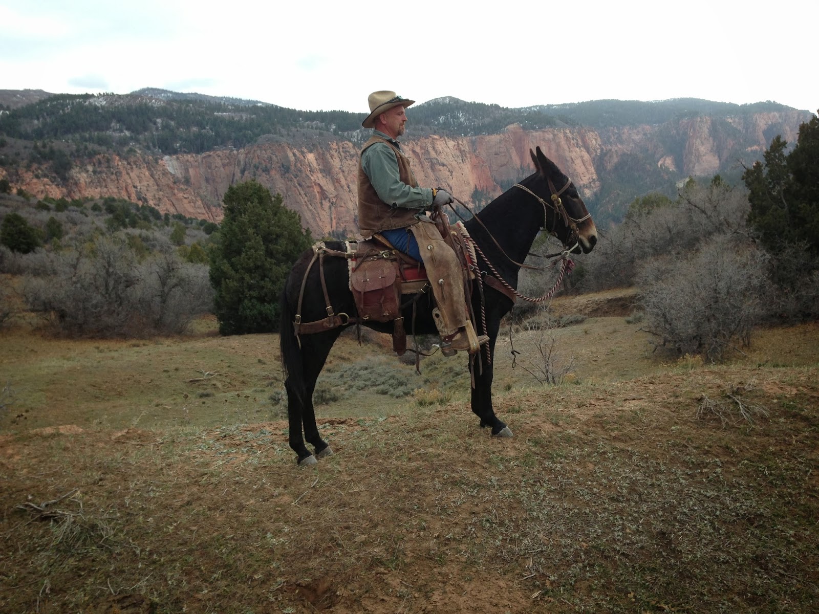 Longears and Sourdough