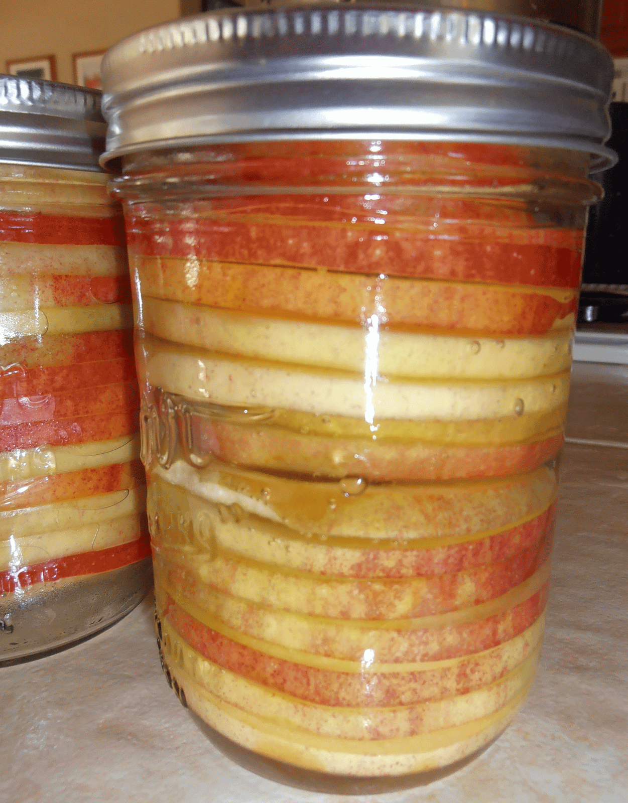 Zoey and the furballs: Learn Something New Everyday