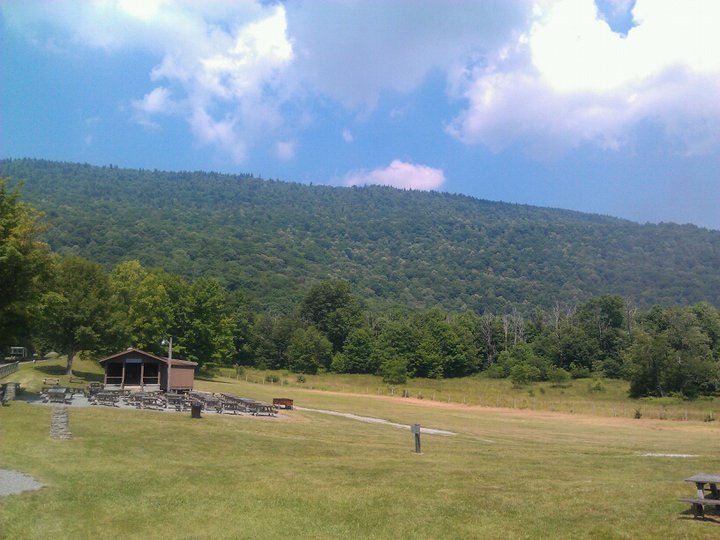 From The Land of Palm Trees: A Train Ride Back Through Time