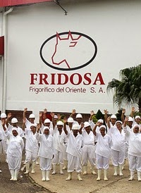 FRIDOSA: Historia