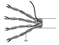 LAN (Local Area Network): cable networking