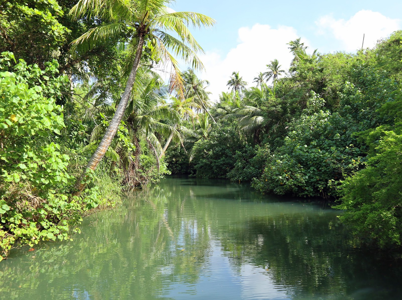 To Travel is to Live: Guam