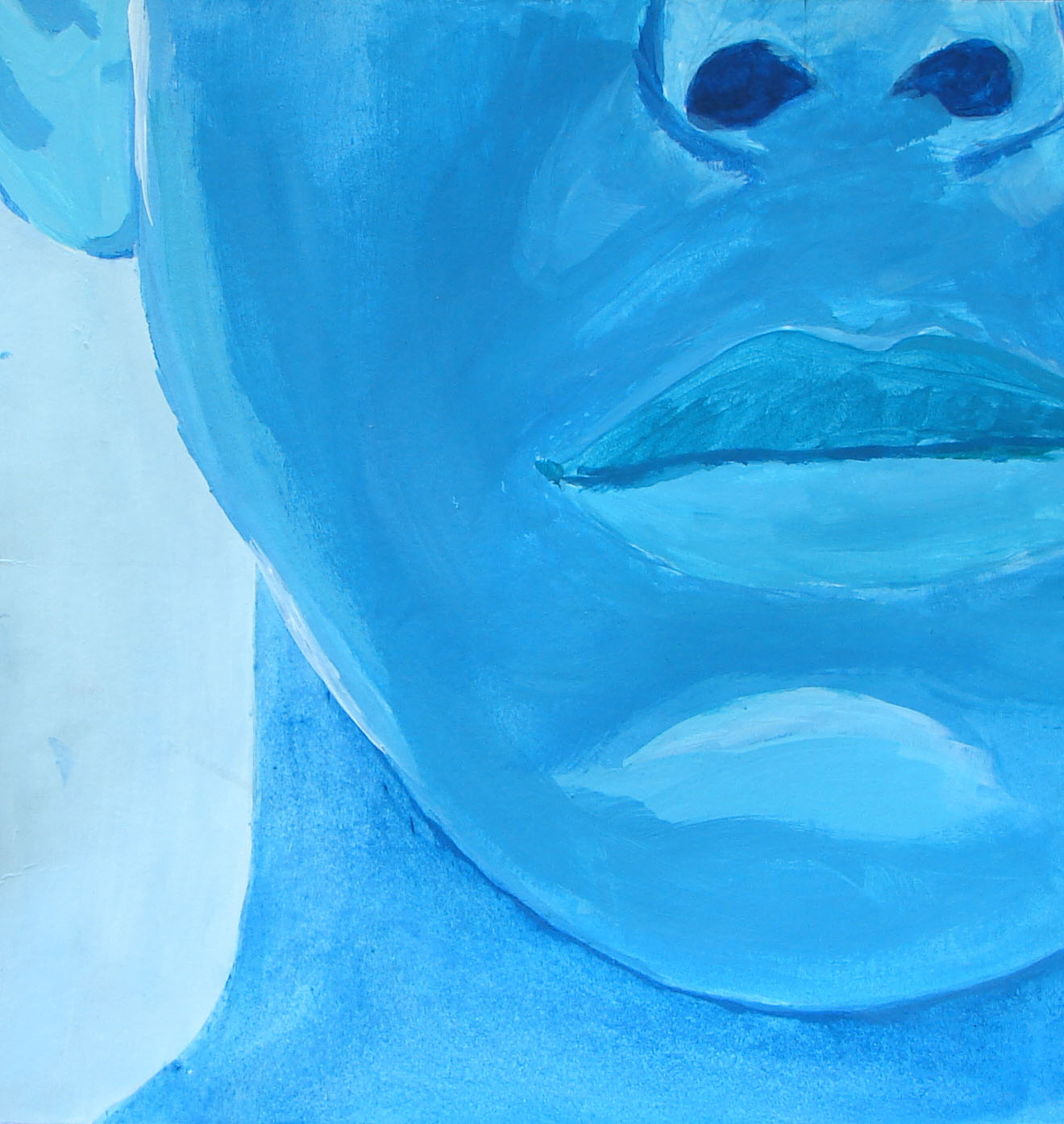 Hannah Gaskill AP Studio Art Projects