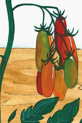 Italophile Book Reviews: Tino and the Pomodori by Tonya Russo Hamilton ...