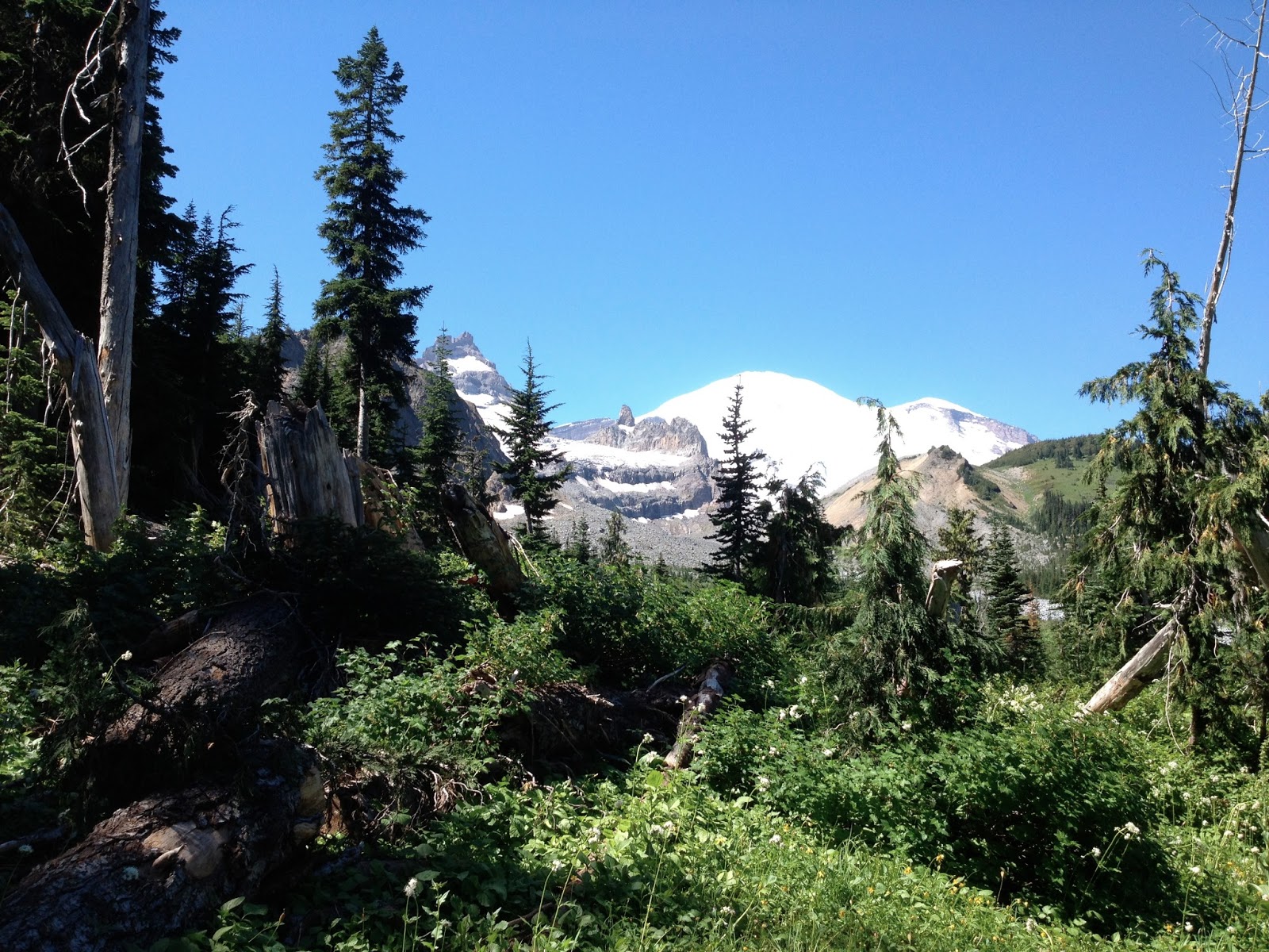 Hike the World: Mt. Rainier National Park: Summerland Trail