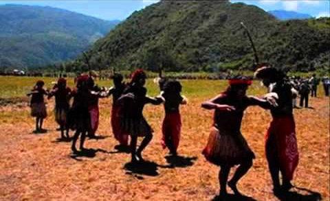 Lirik Lagu Sajojo - Papua - Tanjak7