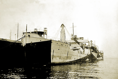 C A M O U P E D I A: Camouflaged SS West Indian 1918