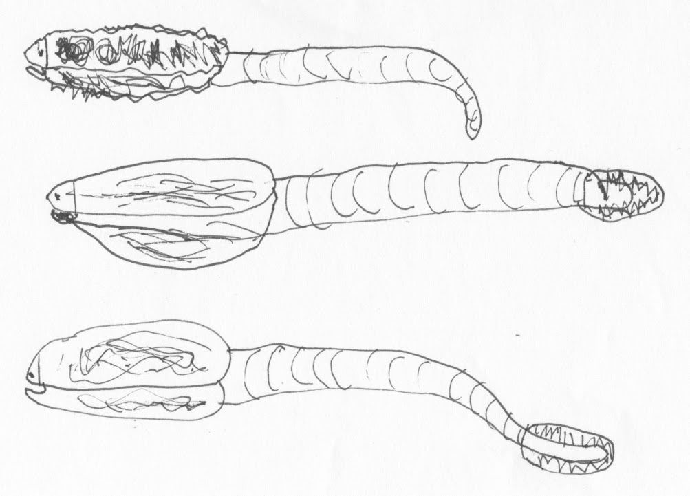 Life Before the Dinosaurs: Sacabambaspis.